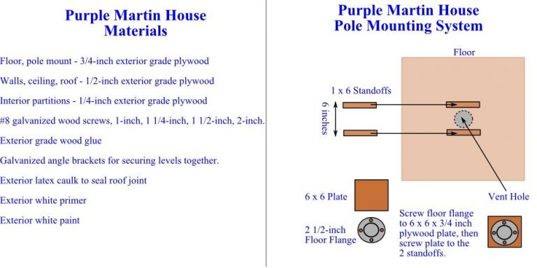 Build a Purple Martin House: Complete DIY Plans and Guide