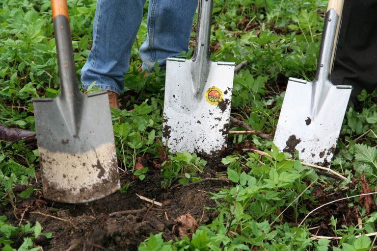 7 Easy Steps to Prepare New Ground for a Garden